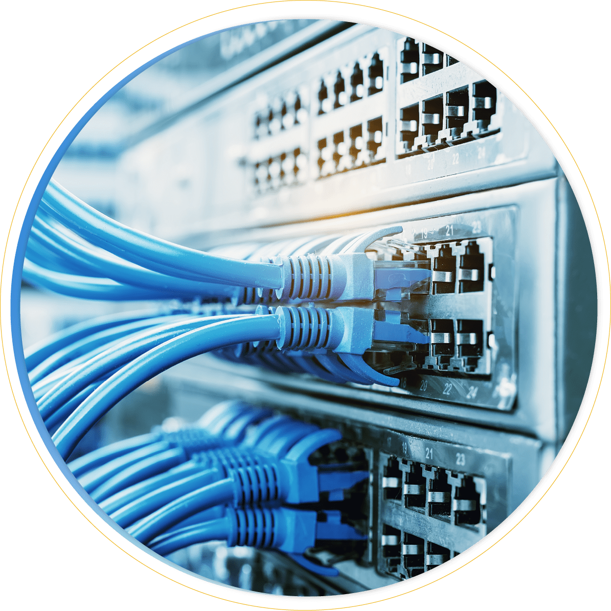 Network Management - enVista