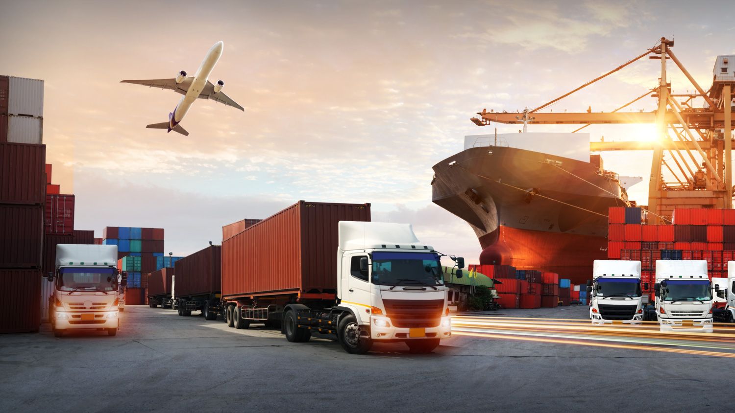 Transportation and Logistics Consulting Services | enVista